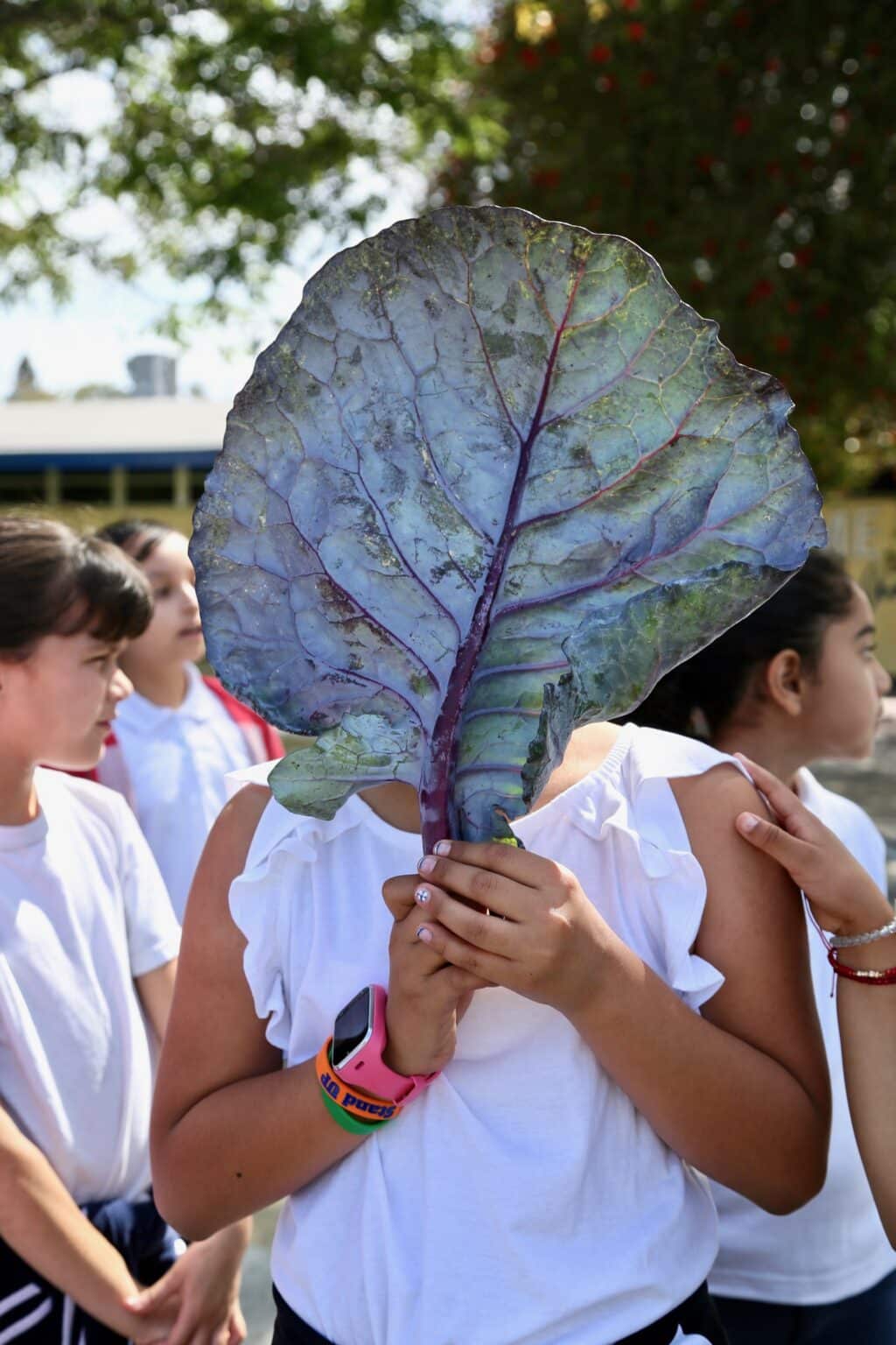 Big Green | Growing Food Changes Lives