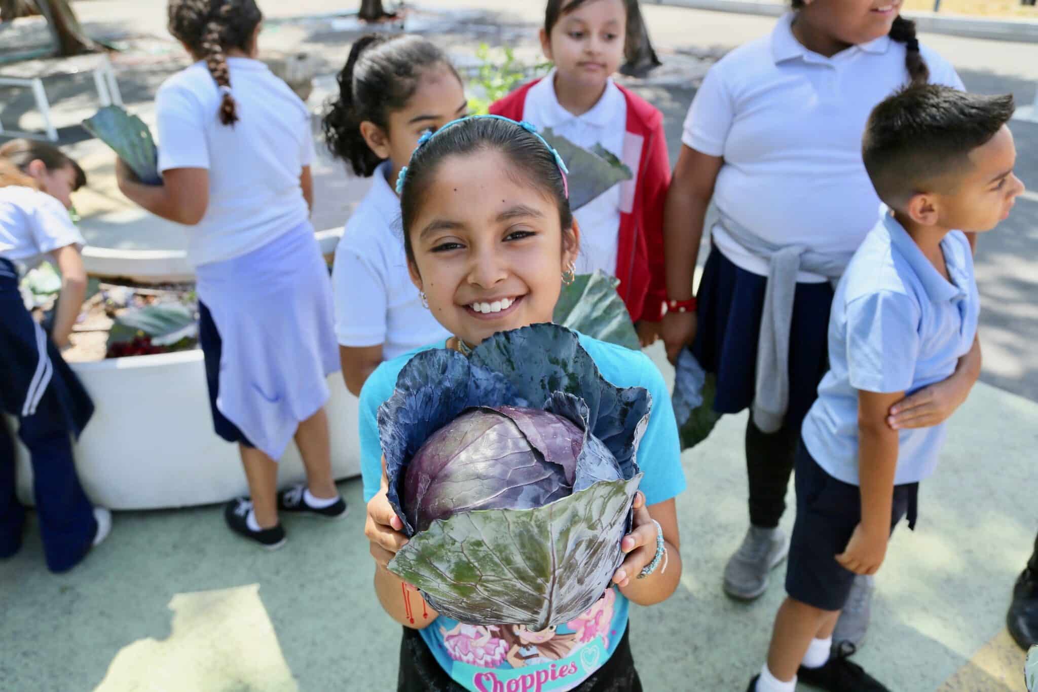 About Us - Big Green