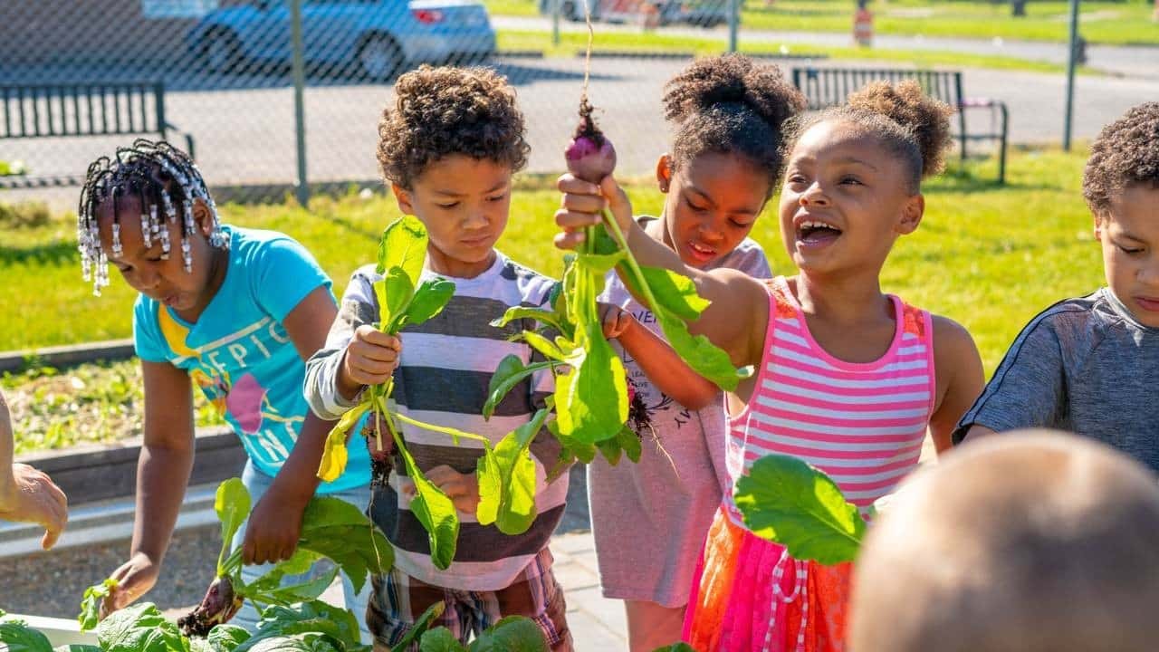Ready Set Grow! K-8 Curriculum - Big Green