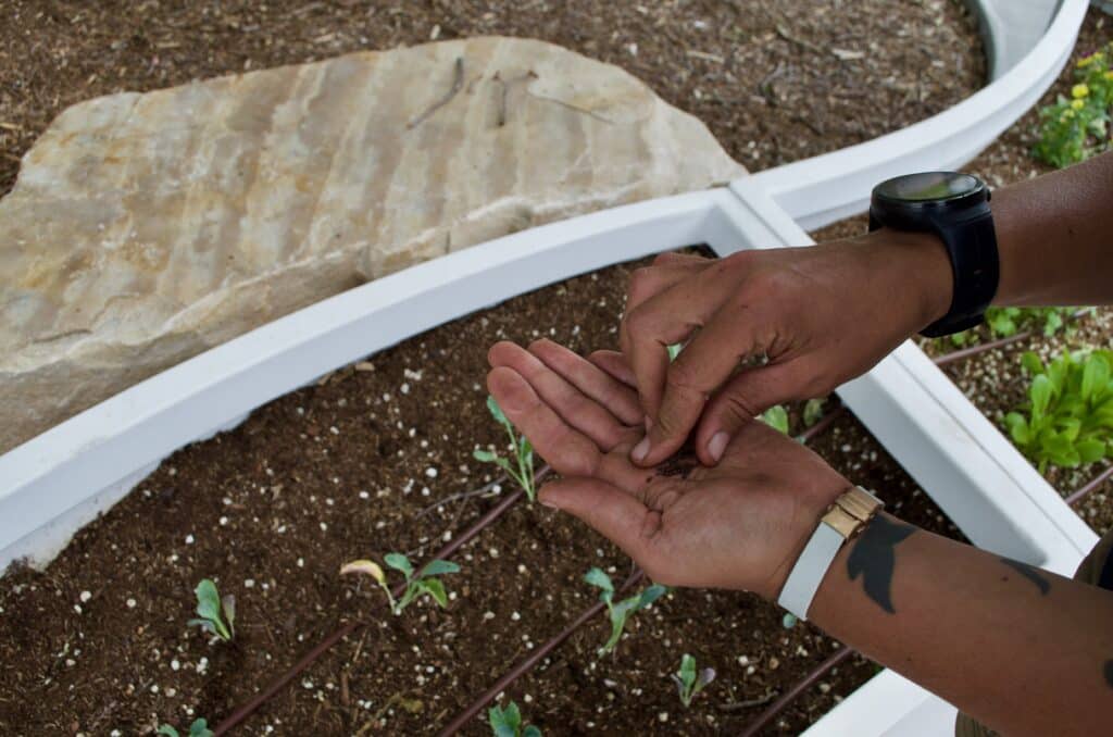 Plant a Seed Day Activities & Resources - Big Green