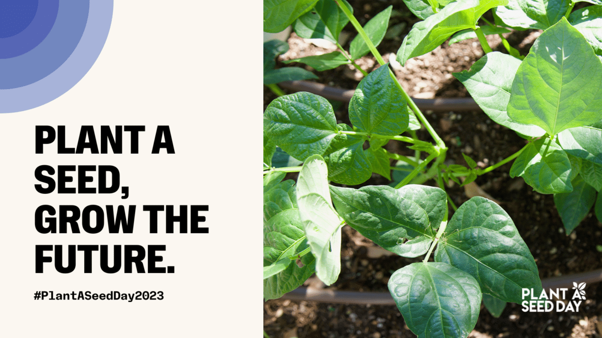Plant a Seed Day Toolkit - Big Green