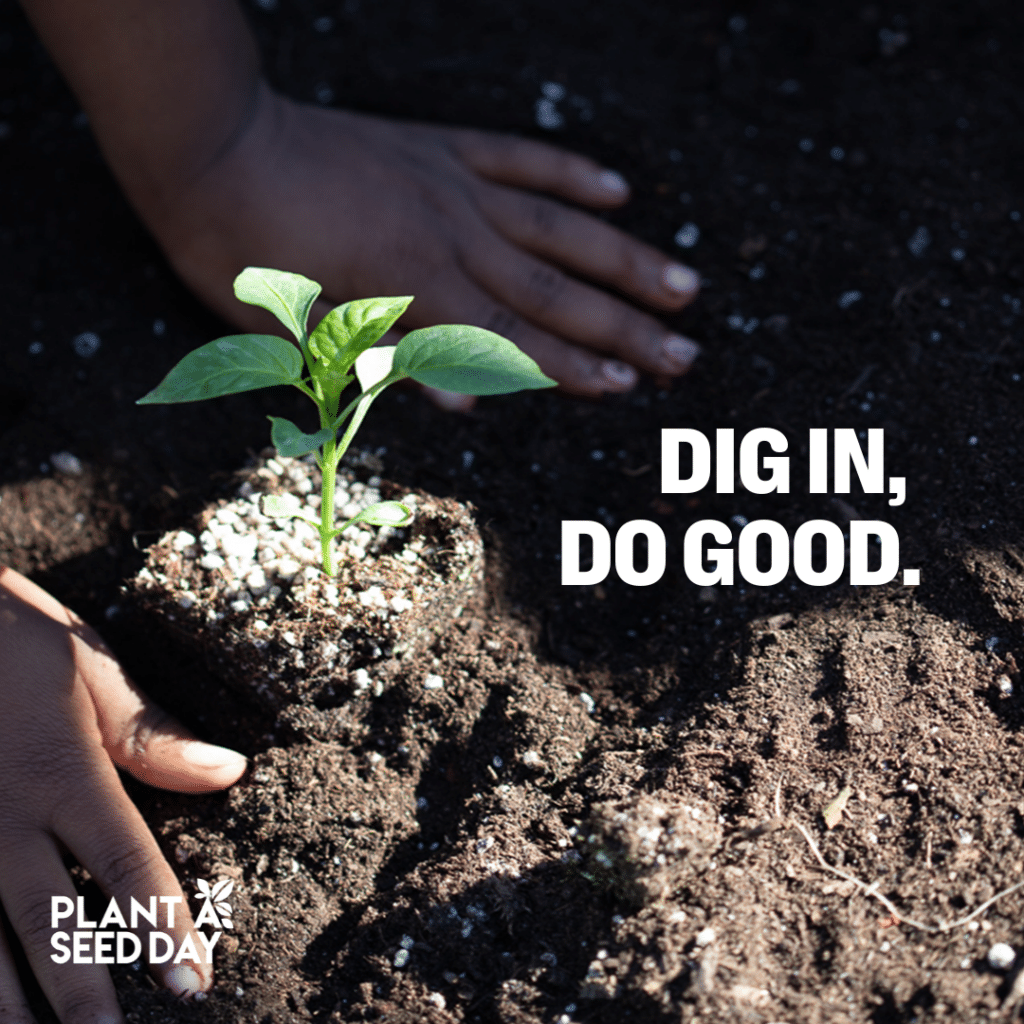 Plant a Seed Day Activities & Resources - Big Green