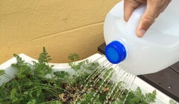 Make Your Own Watering Can from Upcycled Materials - Big Green